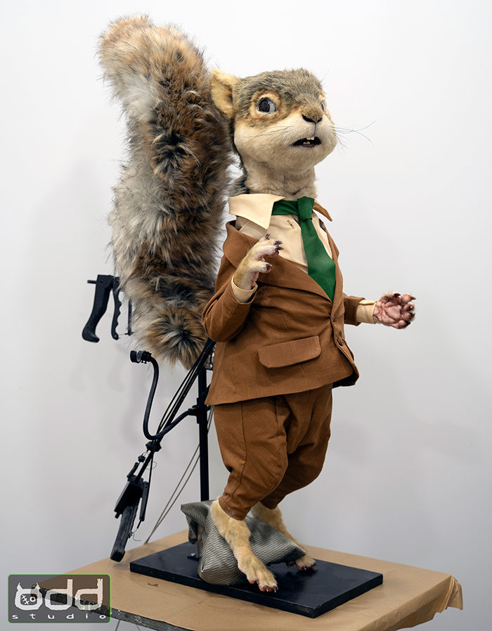 Acorns Squirrel - Odd Studio