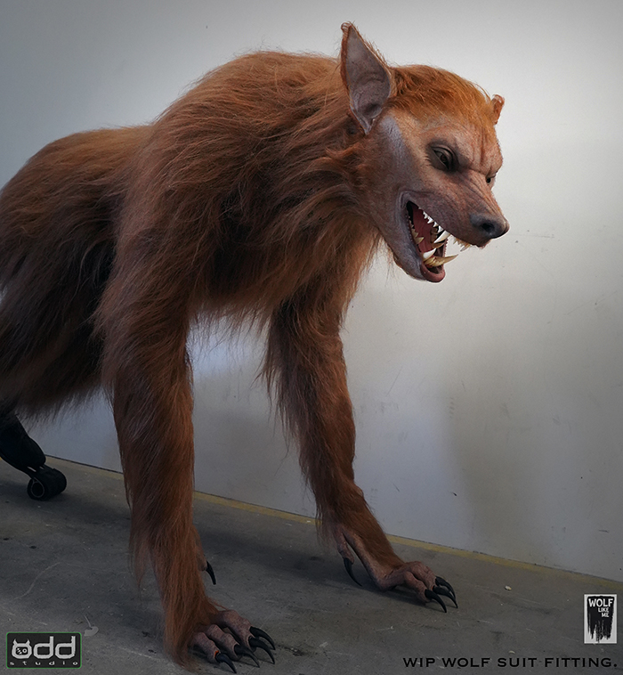 Wolf Like Me. Season 1 & 2. - Odd Studio