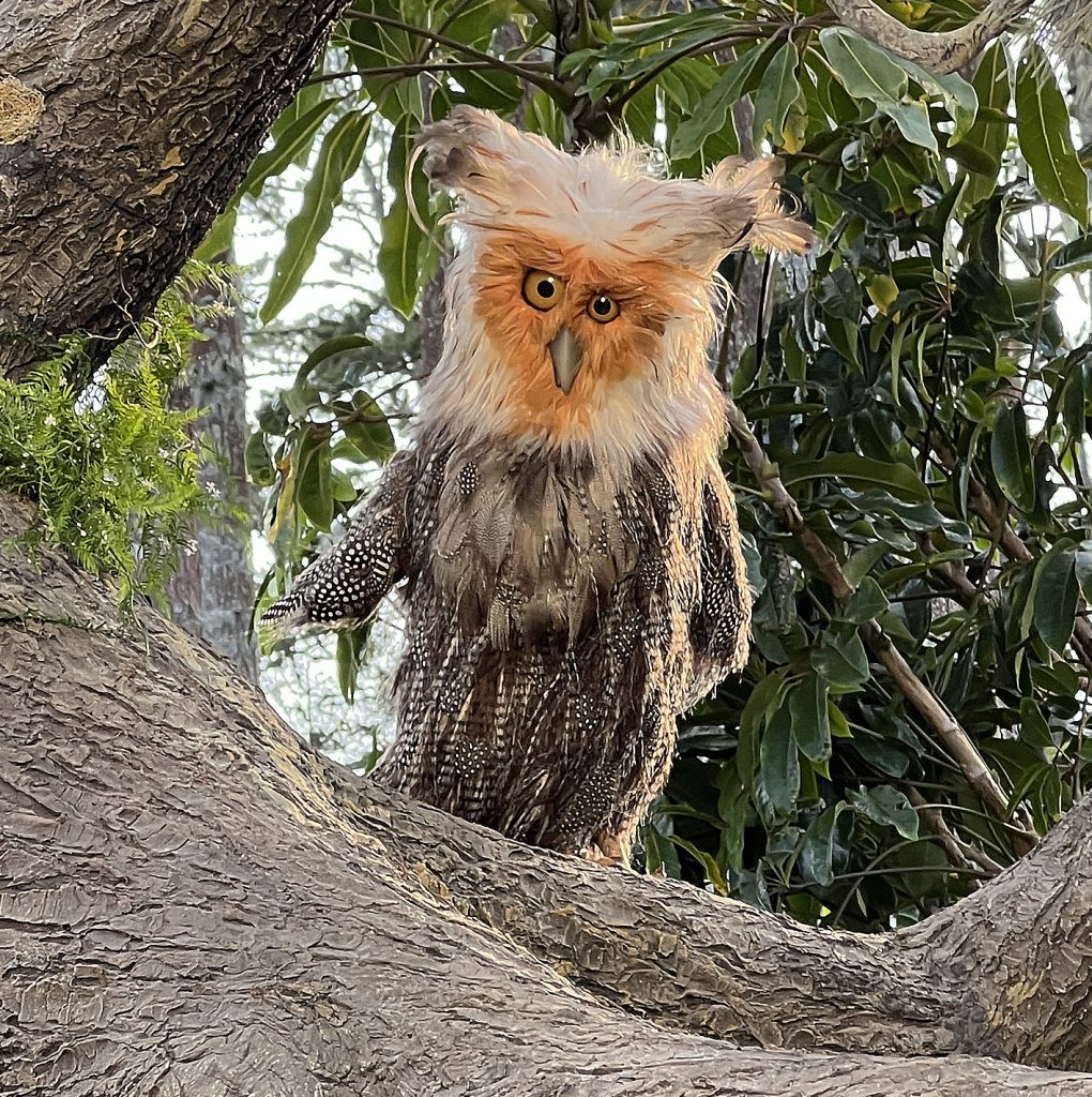 Apple Voice Owl - Odd Studio