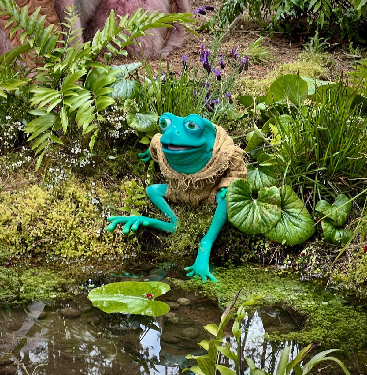 Apple Voice Frog - Odd Studio